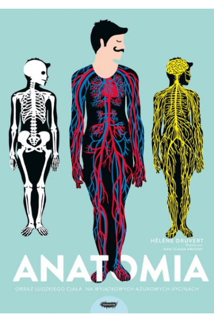 Anatomia Obraz ludzkiego ciała na wyjątkowych ażurowych rycinach ...