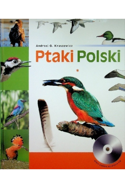 Ptaki Polski - Andrzej G. Kruszewicz książka | Tezeusz.pl